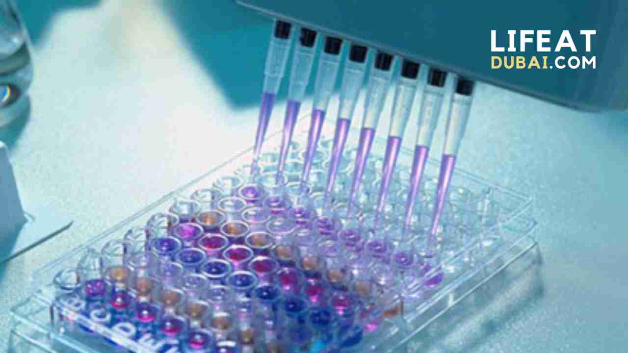 Choosing the Right ELISA Kit for Your Research: Factors to Consider ...